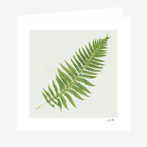 Fern Greetings Card - Abbott & Allen