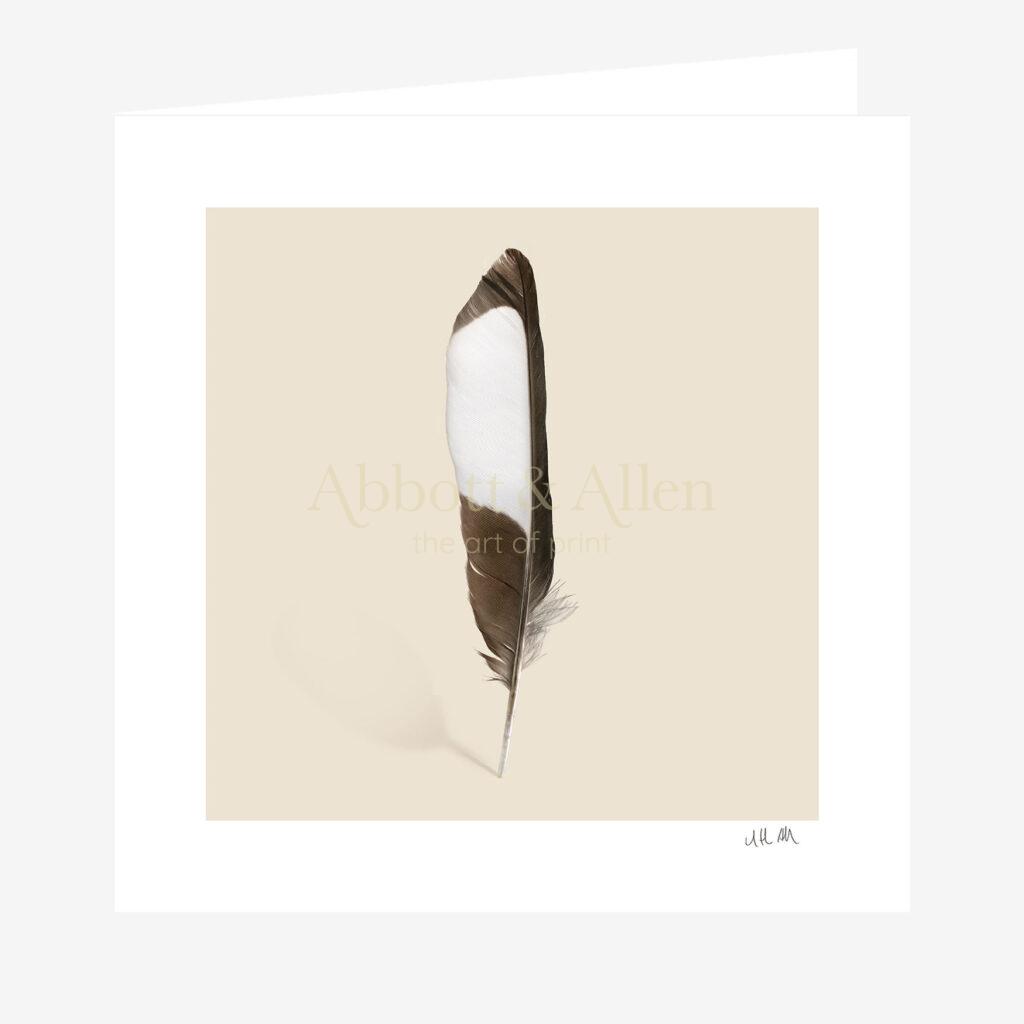 Magpie Feather Greetings Card - Abbott & Allen