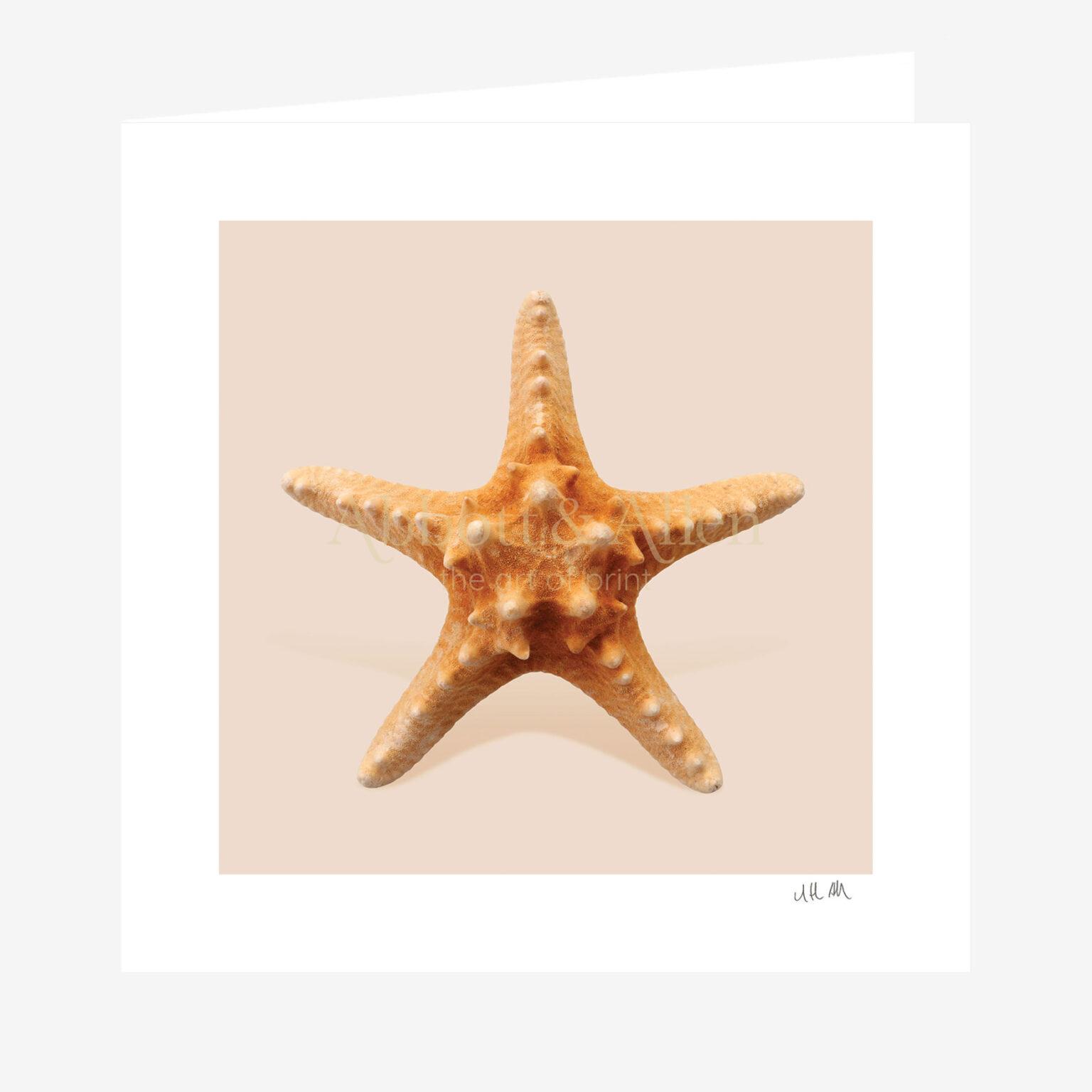 Starfish Greetings Card - Abbott & Allen