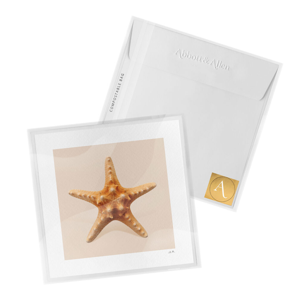 Starfish Greetings Card - Abbott & Allen
